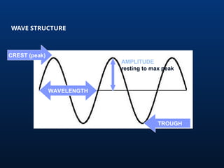 Grade 10 Waves Notes for revision for physics | PPT