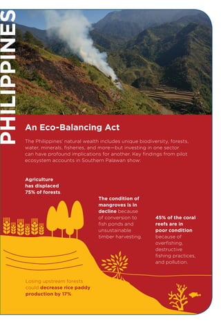 World Bank promotional brochure about natural capital accounting | PDF