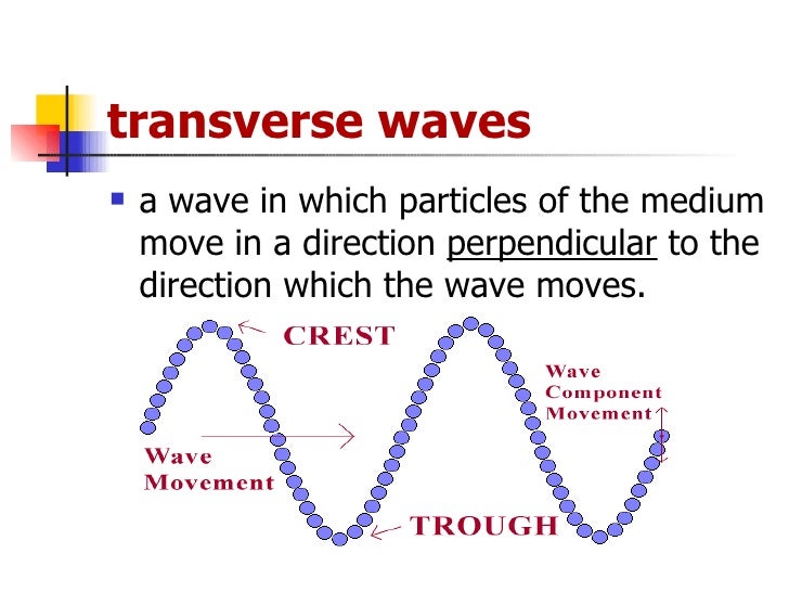 Surface Waves Science