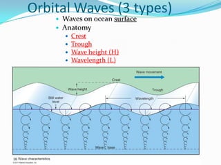 Waves - Characteristics, Types, and Energy | PPTX