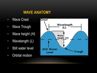 Ocean Wave Diagram Labeled
