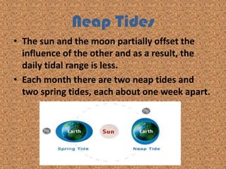Waves And Tides 16 2 Ppt Vocab | PPTX | Geography | Science