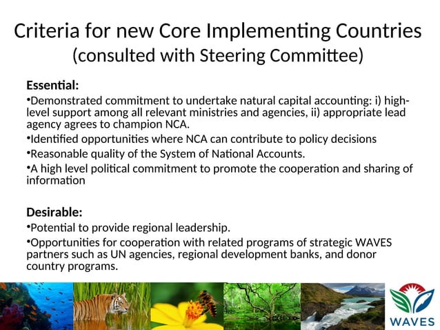 WAVES Global Partnership AND SOLUTIONS PPT.ppt