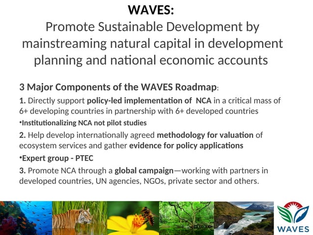 WAVES Global Partnership AND SOLUTIONS PPT.ppt