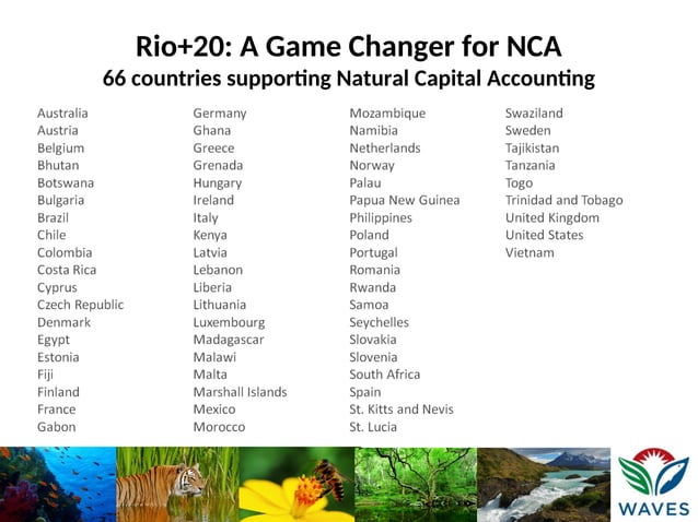 WAVES Global Partnership AND SOLUTIONS PPT.ppt