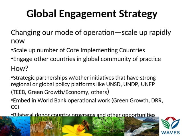 WAVES Global Partnership AND SOLUTIONS PPT.ppt