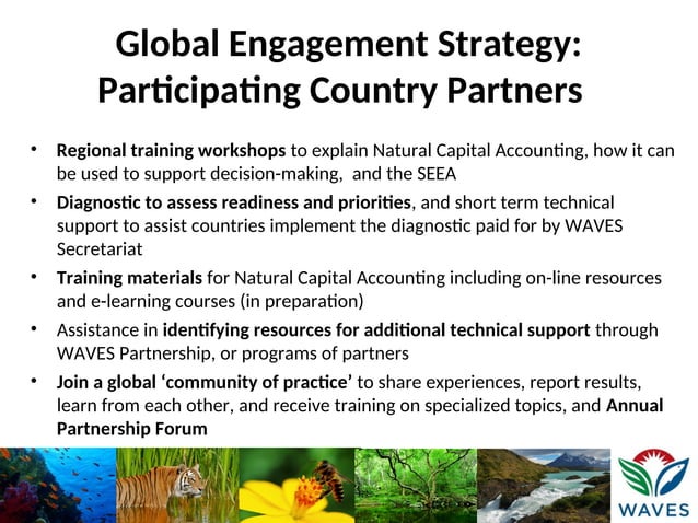 WAVES Global Partnership AND SOLUTIONS PPT.ppt