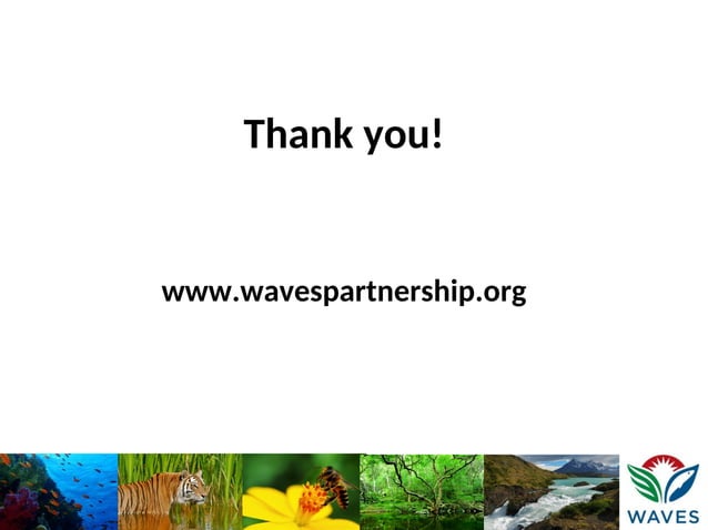 WAVES Global Partnership AND SOLUTIONS PPT.ppt