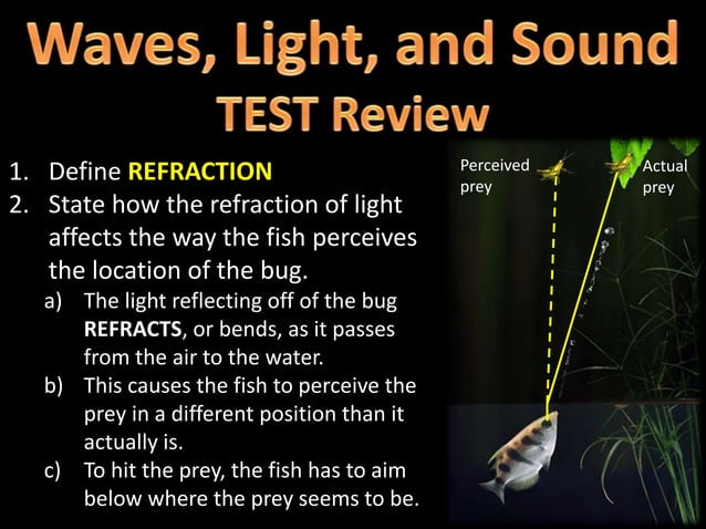Waves light sound test review | PPT
