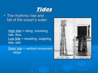 Waves, tides, and currents revised | PPT