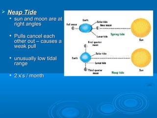 Waves, tides, and currents revised | PPT