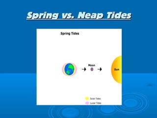 Waves, tides, and currents revised | PPT