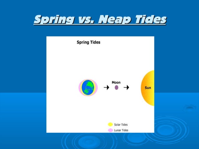 Waves, tides, and currents revised | PPT