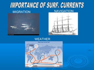 Waves, tides, and currents revised | PPT