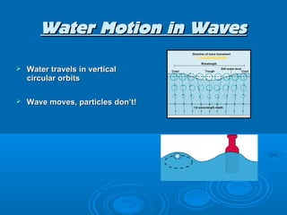 Waves, tides, and currents revised | PPT