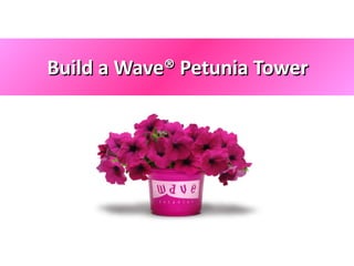 Wave Petunia Tower | PPT