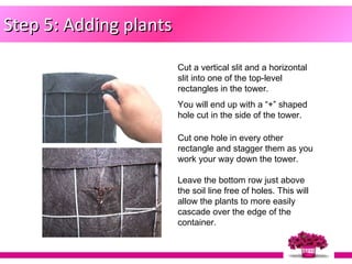 Wave Petunia Tower | PPT