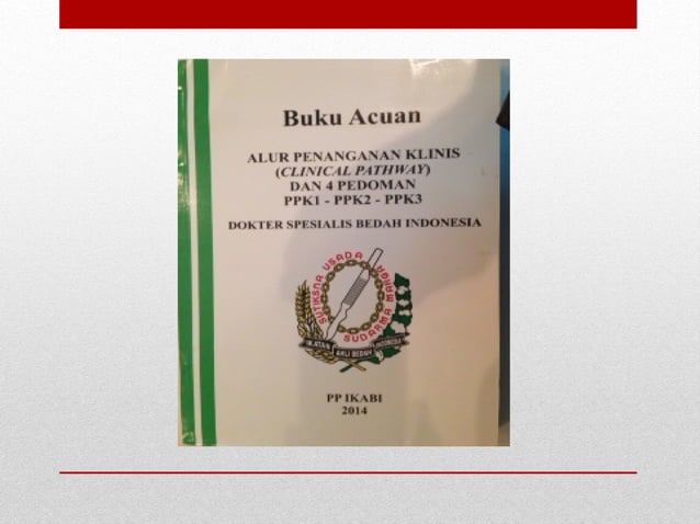 wawasan-tentang-pnpk-ppk-clinical-pathway_compress.pdf