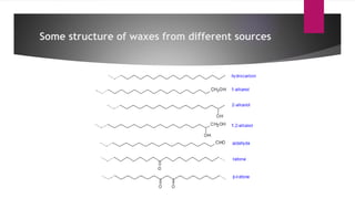Structure Of Waxes