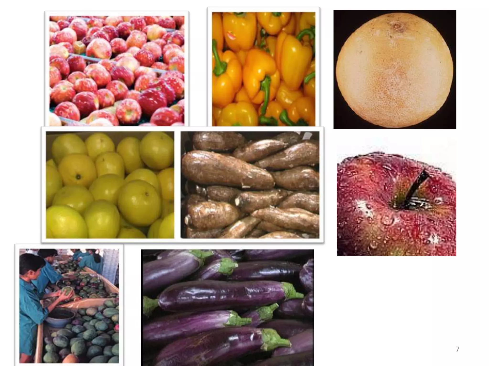 Waxing Fruits or Fruit coating | PPTX