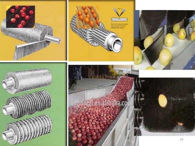 Waxing Fruits or Fruit coating | PPTX