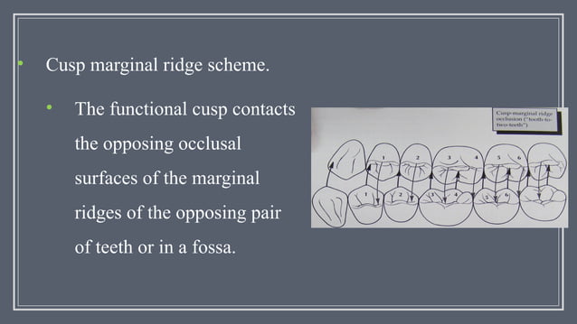 wax pattern, Esthetic and Occlusal Considerations | PPT