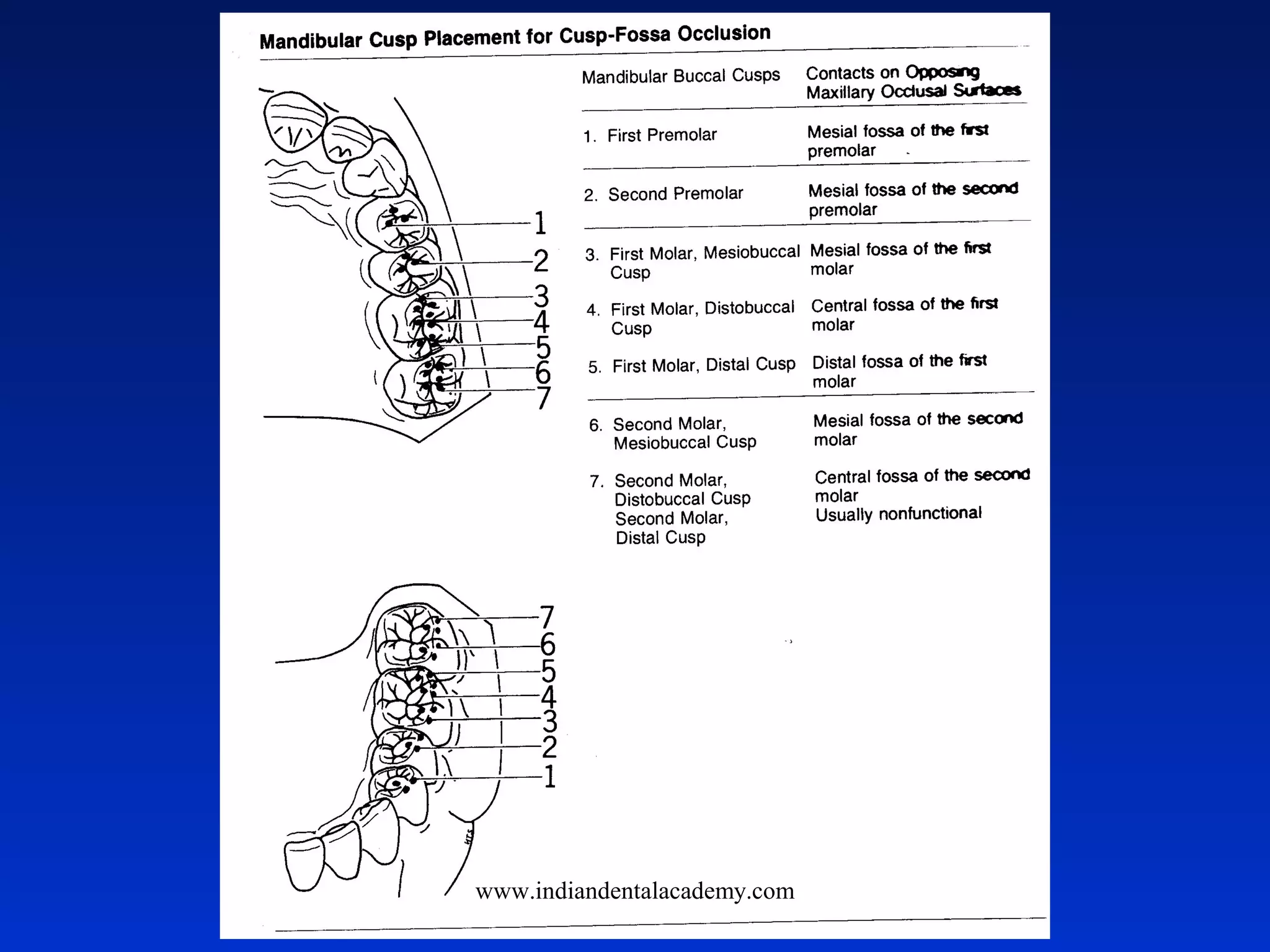 Wax patterns in fpd/ dental crown & bridge courses | PPT