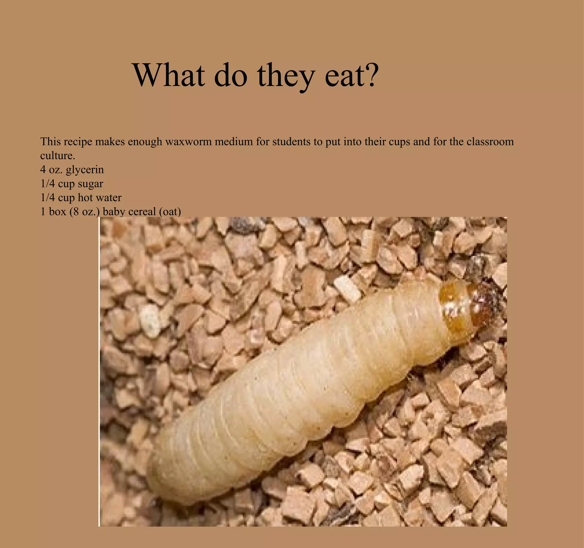 Waxworm Grade 1 | PPT