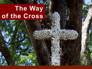 Way of-the-cross-presentation | PPTX
