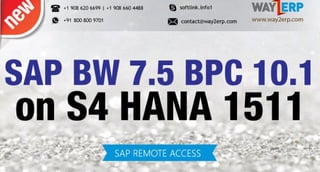 SAP BPC Embedded planning optimized for S/4HANA/IBPF | PDF