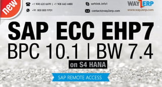 SAP BPC Embedded planning optimized for S/4HANA/IBPF | PDF