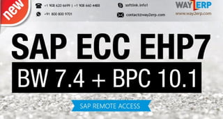 SAP BPC Embedded planning optimized for S/4HANA/IBPF | PDF