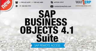 SAP BPC Embedded planning optimized for S/4HANA/IBPF | PDF