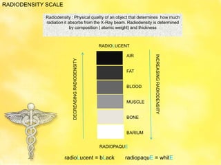 Wayang kulit, no 1 a fundamentals | PPTX