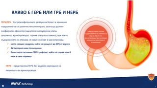 Waya reflu stop обучение | PPT