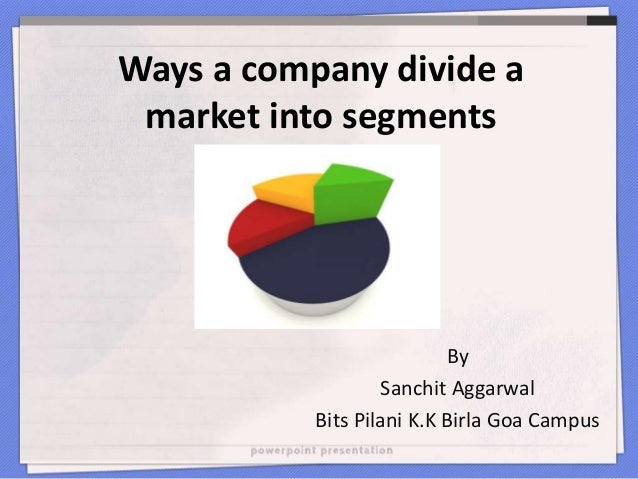 Ways a company divide a market into segments?