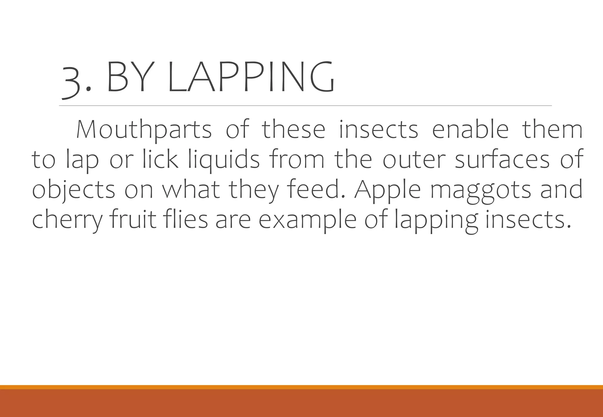 WAYS HOW INSECTS DAMAGE PLANTS.pptx