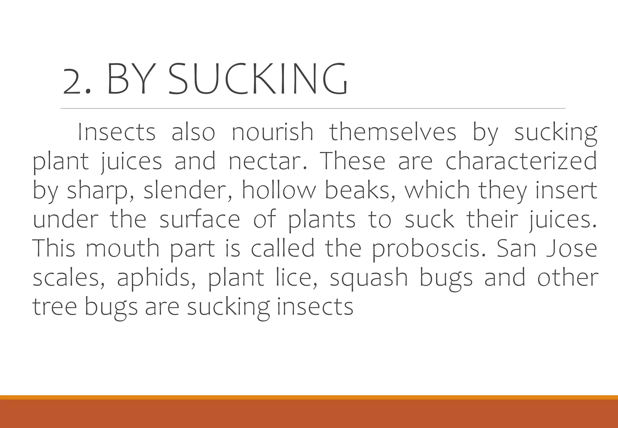 WAYS HOW INSECTS DAMAGE PLANTS.pptx