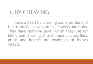 WAYS HOW INSECTS DAMAGE PLANTS.pptx