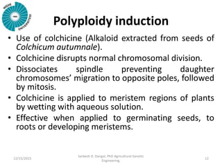 Ways of creating variations in plants | PPTX