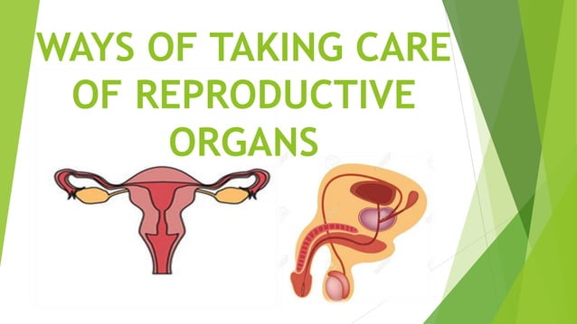 Ways Of Taking Care Of Reproductive Organs Pptx