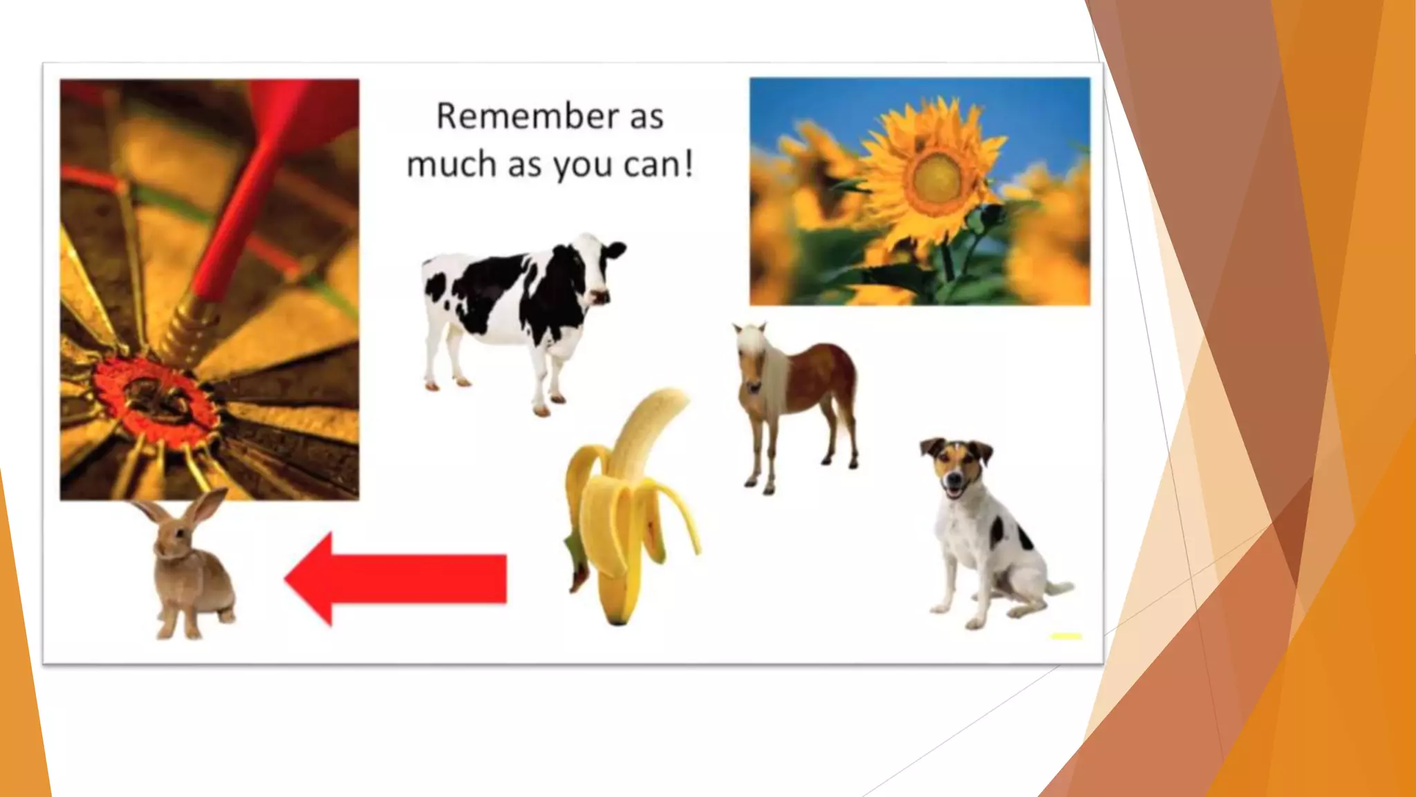 Ways to memorize | PPTX