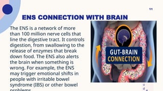 Ways to promote mental hEALTH.pptx for doctors and students | PPT