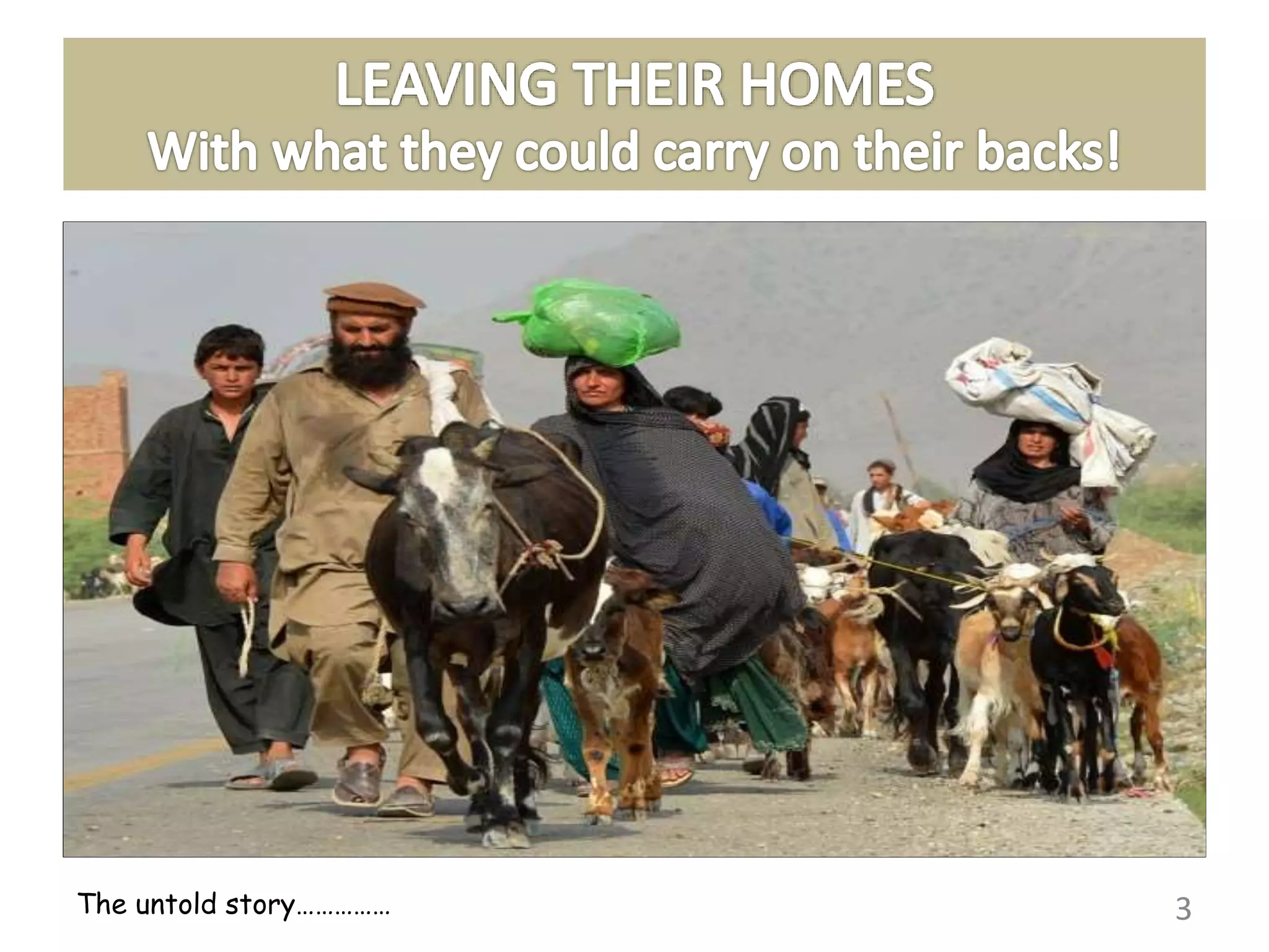 IDPs of FATA, Pakistan | PPT