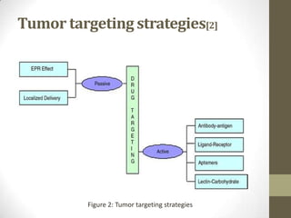 Tumor targeting through Nanomedicine based therapeutics | PPTX