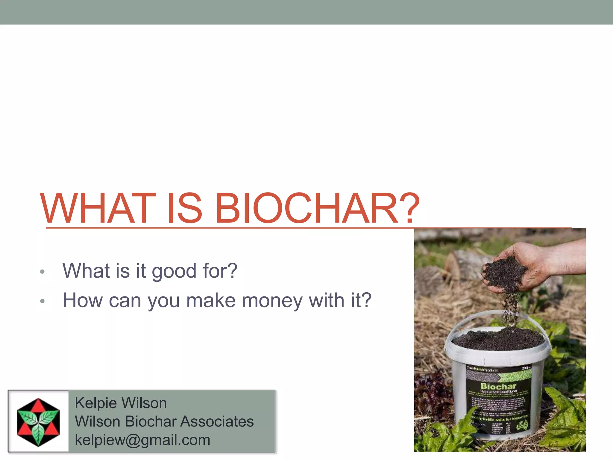 What is Biochar? How Can You Make Money with Biochar? | PPTX