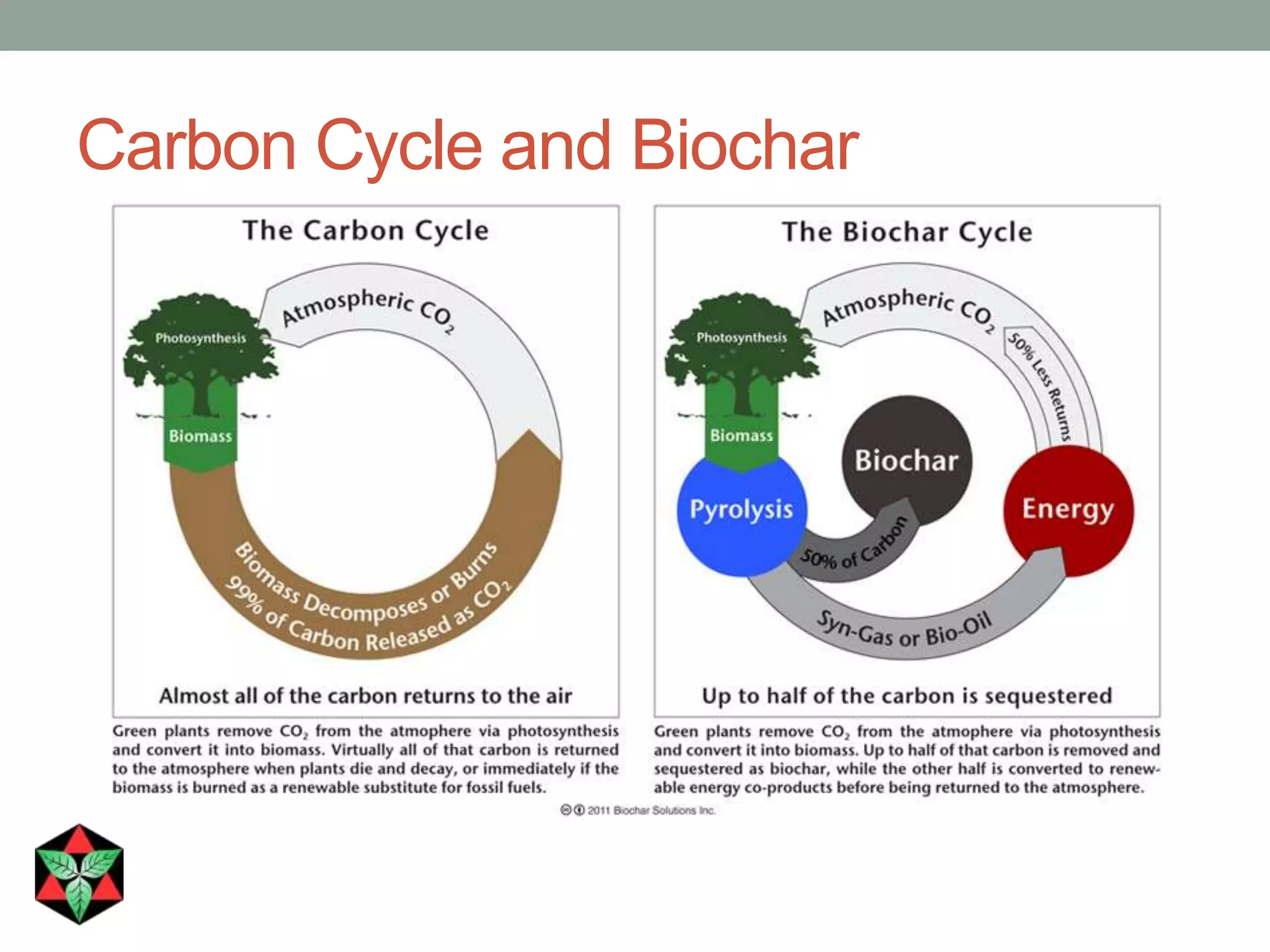 What is Biochar? How Can You Make Money with Biochar? | PPTX