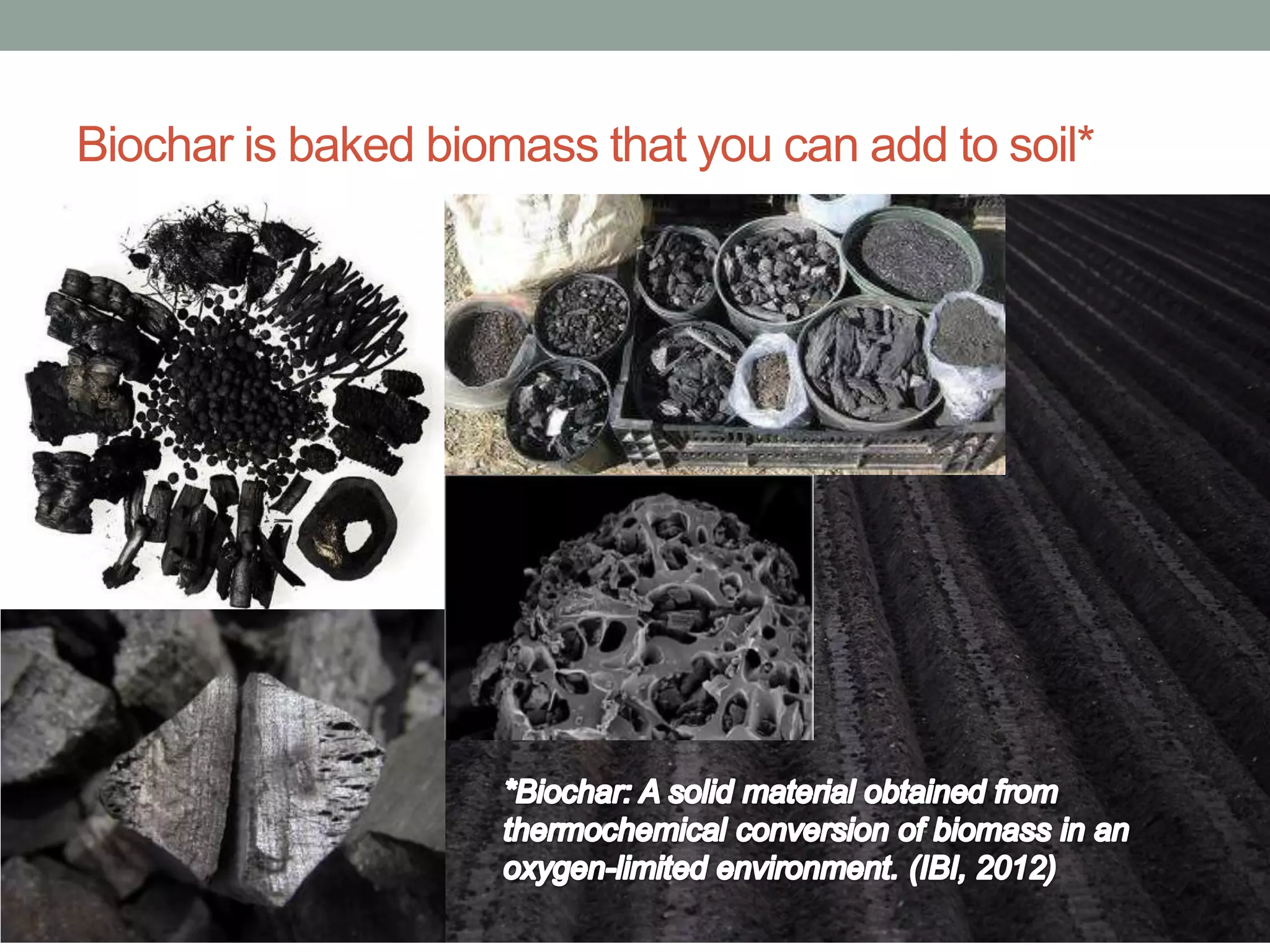 What is Biochar? How Can You Make Money with Biochar? | PPTX