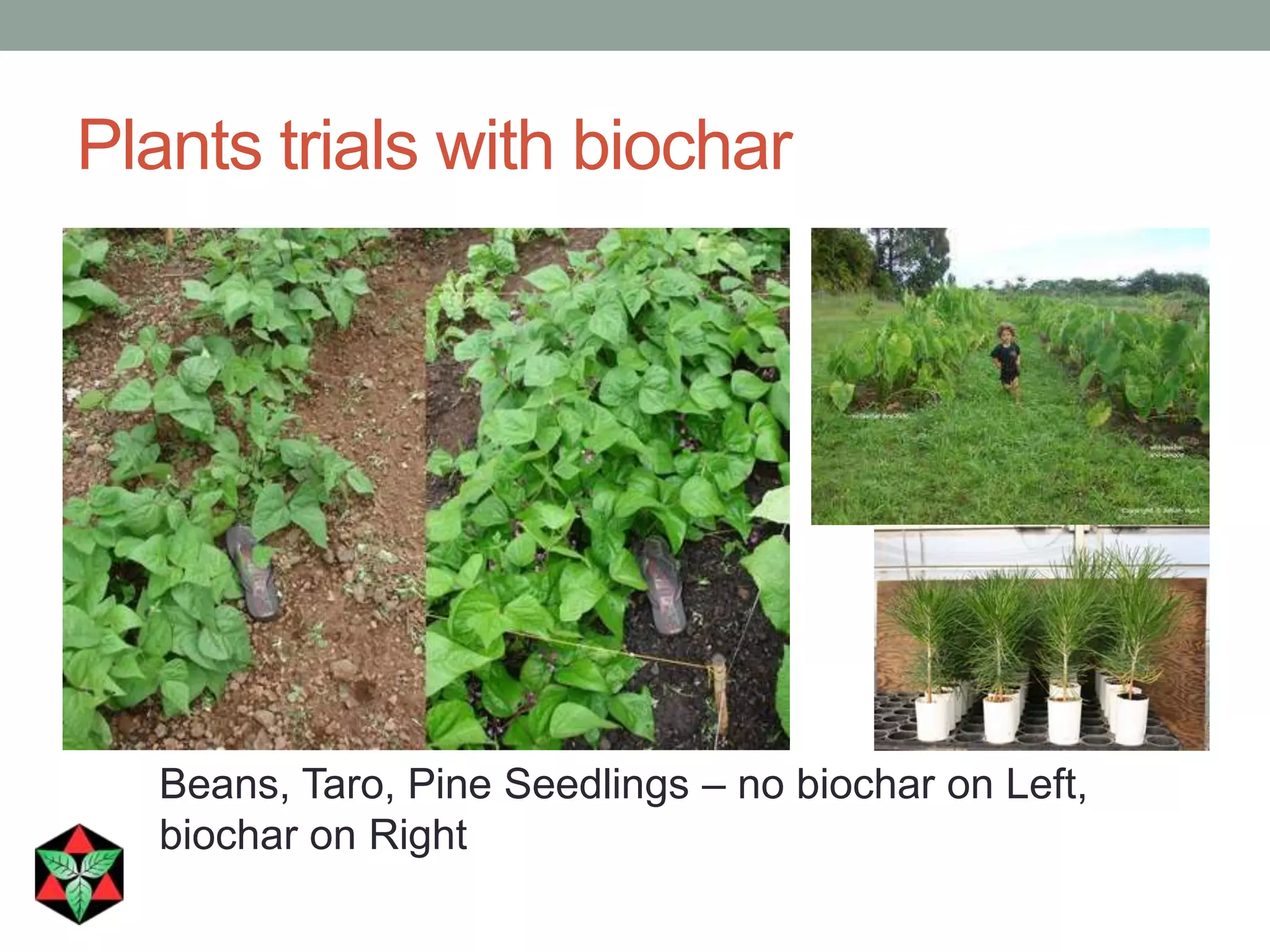 What is Biochar? How Can You Make Money with Biochar? | PPTX
