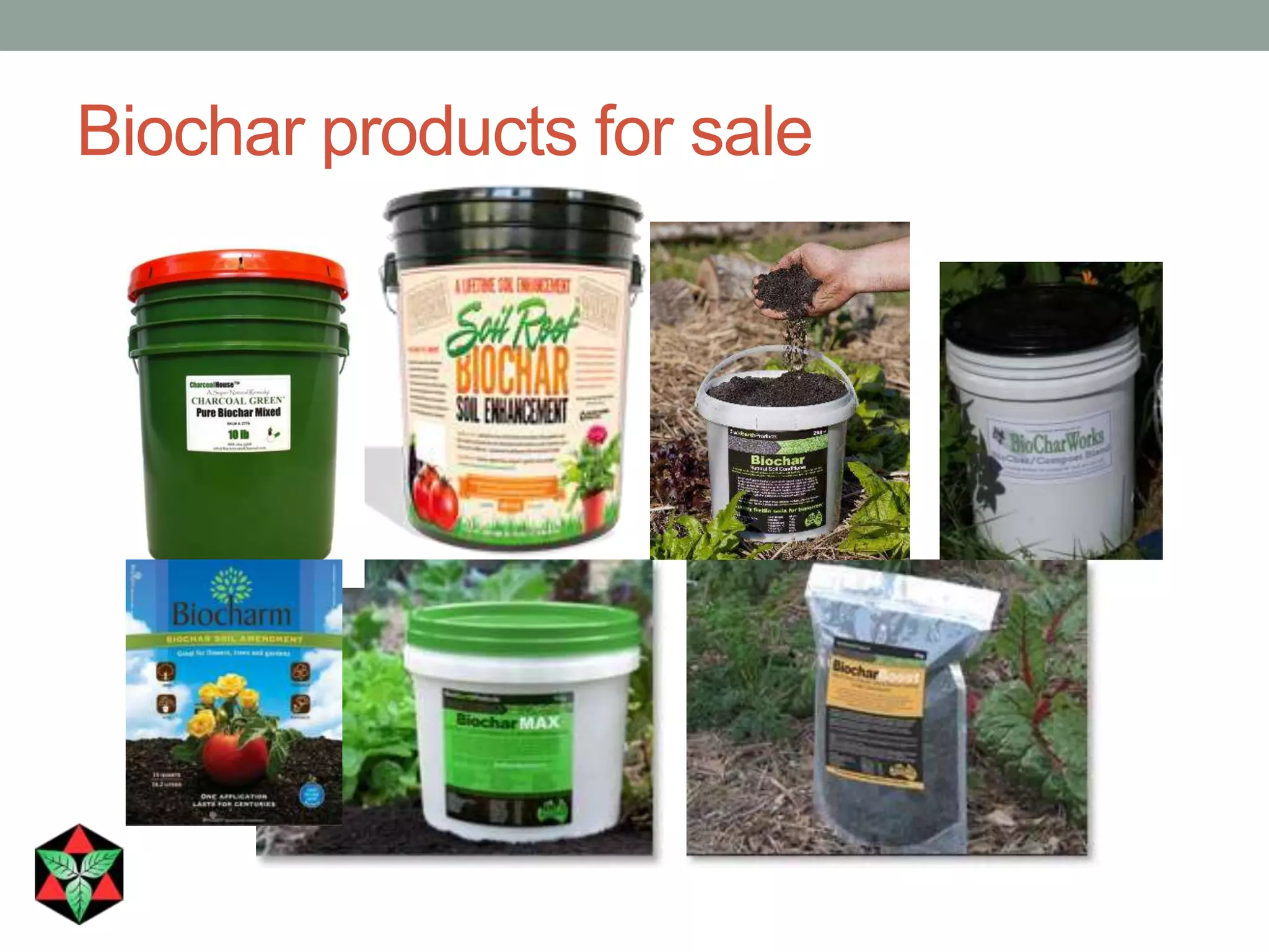 What is Biochar? How Can You Make Money with Biochar? | PPTX